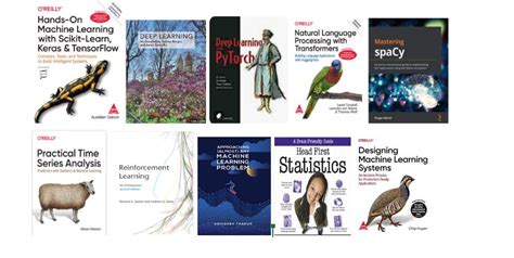 Saurabh Thakur On Linkedin Deeplearning Computervision Machinelearning Nlp Ml Tensorflow