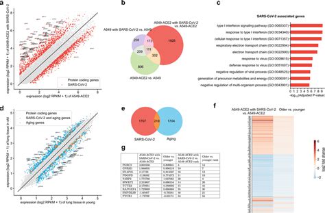 Identification Of Differentially Regulated Genes In Sars Cov 2 Download Scientific Diagram