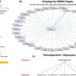 Semantics Associated With Novel Neuromodulation Strategies A MeSH Download Scientific