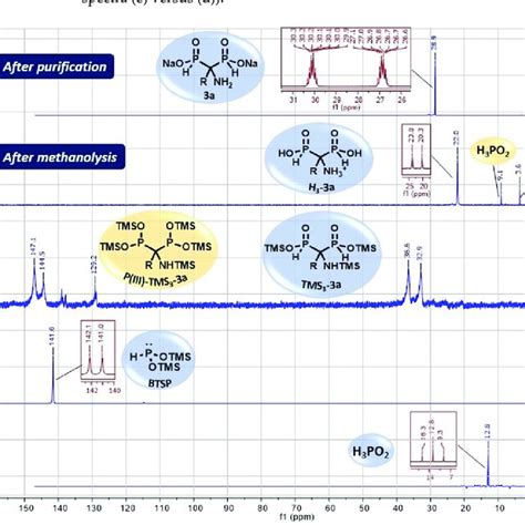 A E 31 P Dark Red And 1 H 31 P Blue Nmr Monitoring Of The Download Scientific Diagram