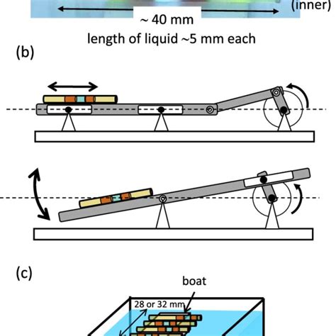 Experimental Setup Of The Liquid Column Oscillator A Snapshot Of The