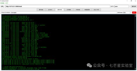 护网必备Python内存马管理工具 腾讯云开发者社区 腾讯云