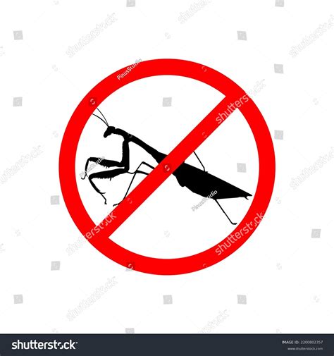 Grasshopper Control Icon Grasshopper Pest Control Stock Vector Royalty