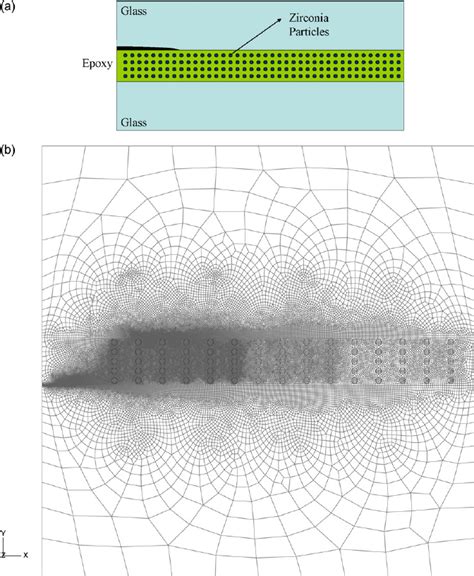 A Schematic Of The Microstructural Model And B Finite Element Mesh