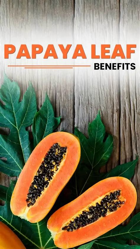 Unlocking The Health Benefits Of Papaya Leaves