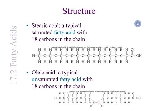 Lipids And Their Functions In Biochemical Systems Ppt