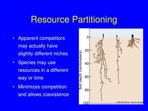 Ppt Community Interactions Powerpoint Presentation Free Download Id 244544