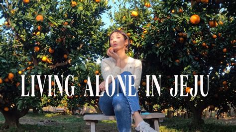 나 혼자 제주 한달살기 Ep2 Jeju Vlog 100 유기농 감귤 따러 갑서 귤의 정원 바령 닭머르해안 해변 조깅 가는곶 세화 제주오누이