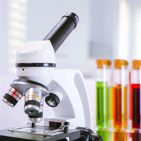 Quels Sont Les Différents Types De Microscopes