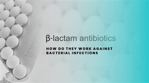 Beta Lactam Antibiotics How Do They Work Against Bacterial Infections