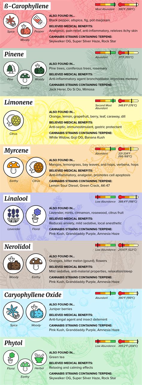 Terpenes Chart