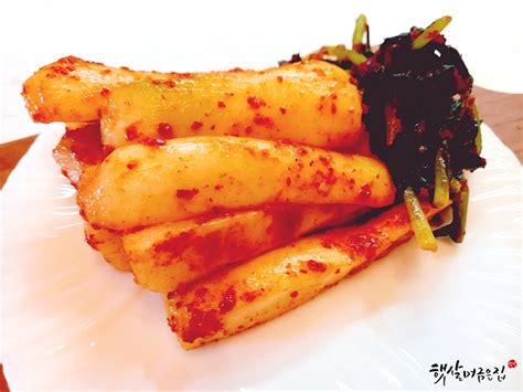 백종원 총각김치 담그는법 김장 알타리양념 가을제철 달랑무요리