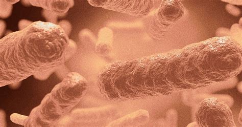 Mutant Bacteria Discovered Aboard International Space Station