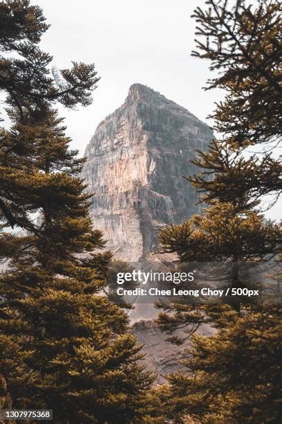 Low Chee Leong Photos Et Images De Collection Getty Images