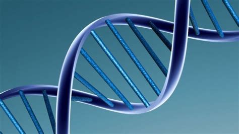 Experts Criticize New DNA Project Designed To Track Sex Offenders Devex