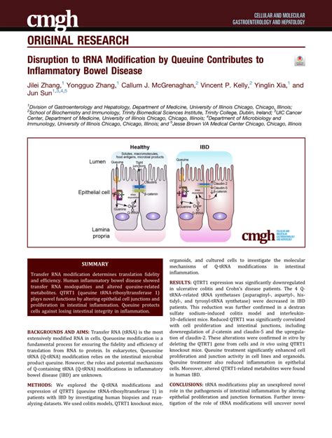Pdf Disruption To Trna Modification By Queuine Contributes To