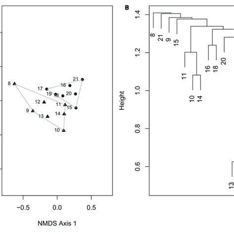 Ordination Plot Using Non Metric Multidimensional Scaling Based On