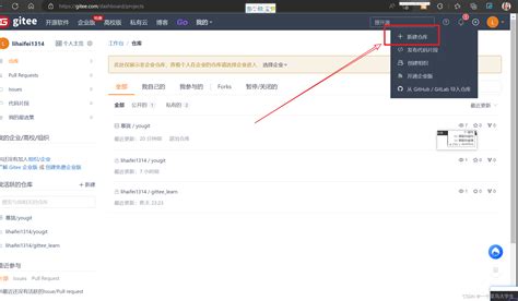 Git详情gittee Win账号 Csdn博客
