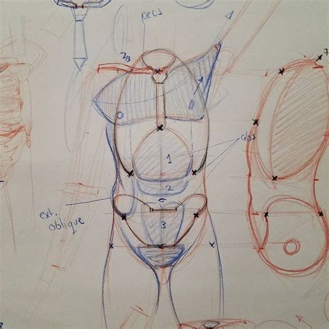 Imple Torso Complex Torso Ifuxwitdavz Артбуки Художественная