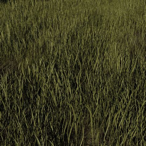 Wild Grass Animated Free Grass Models Blenderkit