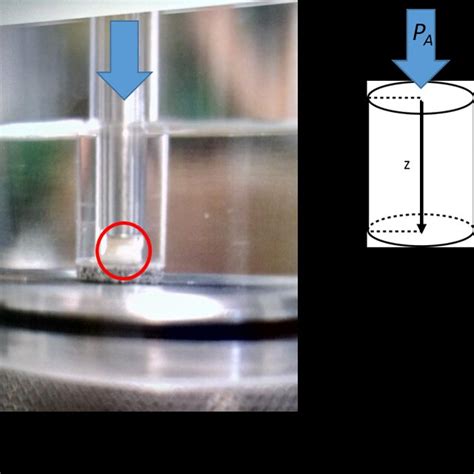 A The Confined Compression Test Set Up Cylindrical Specimens Are