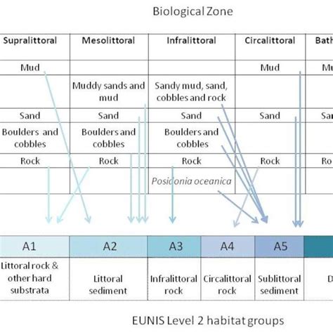 The Eunis Hierarchical Classification Parameters Guiding Each Habitat Download Scientific