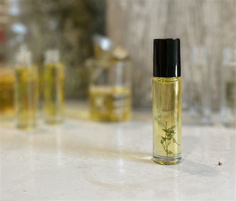 Sex Plants Rock And Roll