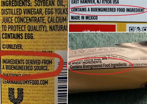 Bioengineered Foods Whats The Big Deal Cathys Turning Leaves