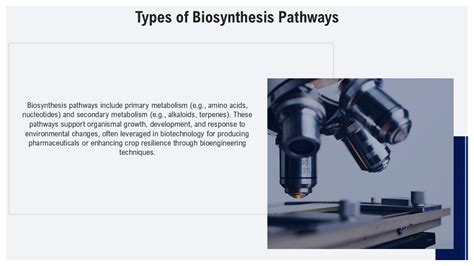 Types Of Biosynthesis Pathways Ppt Example St Ai Ss Ppt Template