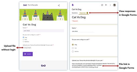 Petaform Upload Files In Google Forms Without Sign In