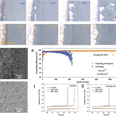 Zn Deposition Behaviour And Reversibility Ab In Situ Optical Download Scientific Diagram