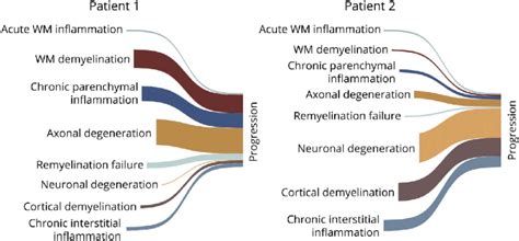 Multiple Sclerosis Clinical Phenotypes May Result From Different Axes Download Scientific
