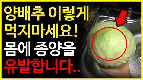 양배추 절대로 이렇게 먹지마세요 몸에 종양이 생기고 부작용을 일으킵니다 양배추를 먹으면 안되는 경우와 양배추 효능 보약보다 좋은 최고의 레시피 Youtube