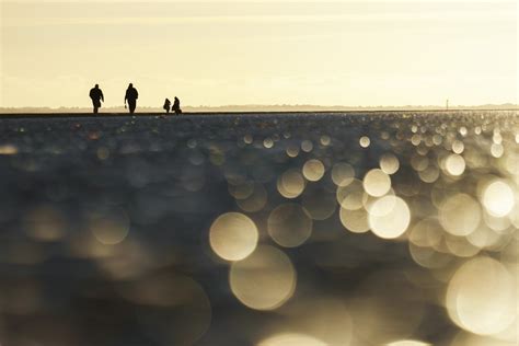 35 Inspiring Examples To Capture Bokeh