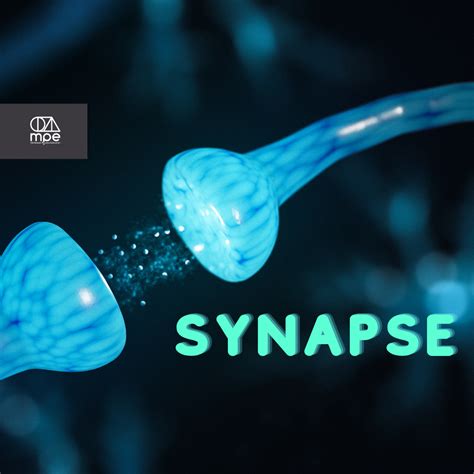 Montessori Physical Education Individual Lessons Synapse