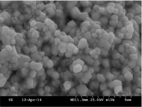 SEM Microstructure Of TiO 2 Nanoparticles With Optimal Ratio Download Scientific Diagram