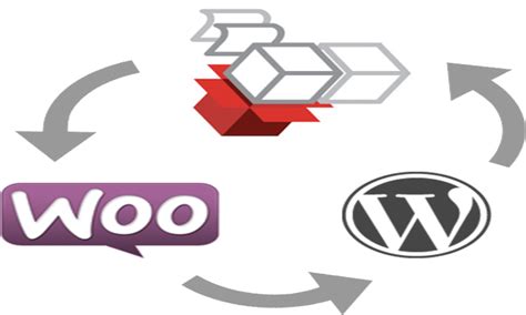 What Is The Difference Between Wordpress And Woocommerce Wp Website Tools