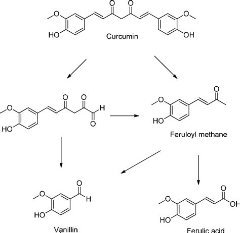 Table 1 From Design And Synthesis Of Novel Small Molecule Modulators Of Keap1 Nrf2 Are Pathway