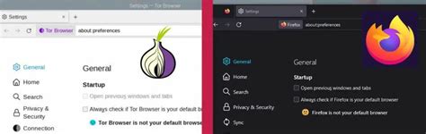 Guide Dinstallation Du Navigateur Tor Sur Raspberry Pi Raspberrytips