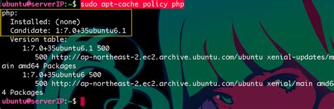 LEMP스택 설치 NGINX 웹서버에 PHP 설치하기 및 설정 PHP FPM 스위프트코딩