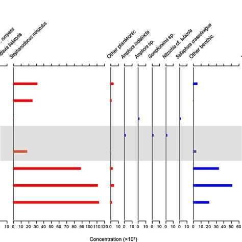 Stratigraphy Of Diatom And Chrysophyte Cyst Concentrations In Samples Download Scientific