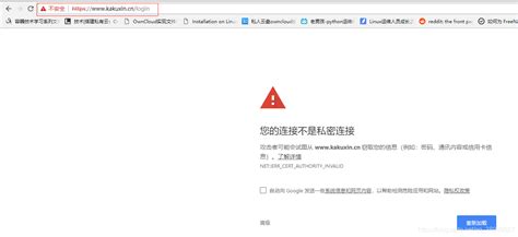 利用acme sh的dns手动模式免费添加ssl证书，解决自签名证书造成的“你的连接不是私密连接”问题 acme sh yes i