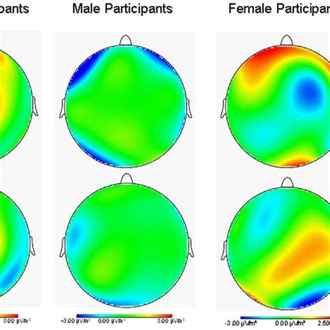 Current Source Density Csd Maps Neuronal Processing Of Chemosensory Download Scientific