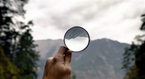 Dev Web Php Formulário De Pesquisa Simples No React