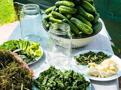 The Process Of Pickling Cucumbers For The Winter In Glass Jars Spices For Salting On Plates