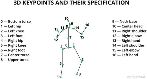 【cv With Pytorch】第 6 章 ：姿态估计pytorch识别骨架 Csdn博客