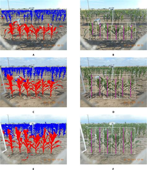 High Throughput Field Plant Phenotyping A Self Supervised Sequential