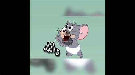 توم وجيري ميمز تومجيرى Youtube