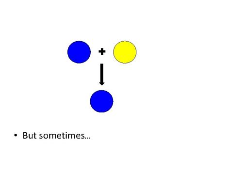Genetics Heredity Blending Theory Of Inheritance Until Early