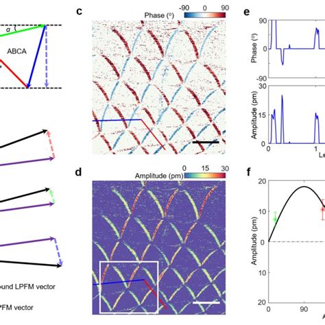 Lateral Piezoelectric Force Microscopy Mapping In Twisted Double